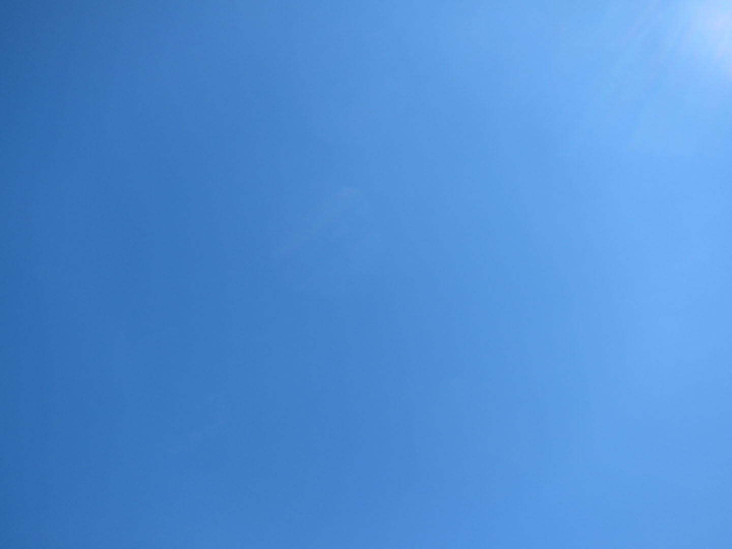 blue background – Aslan Roars